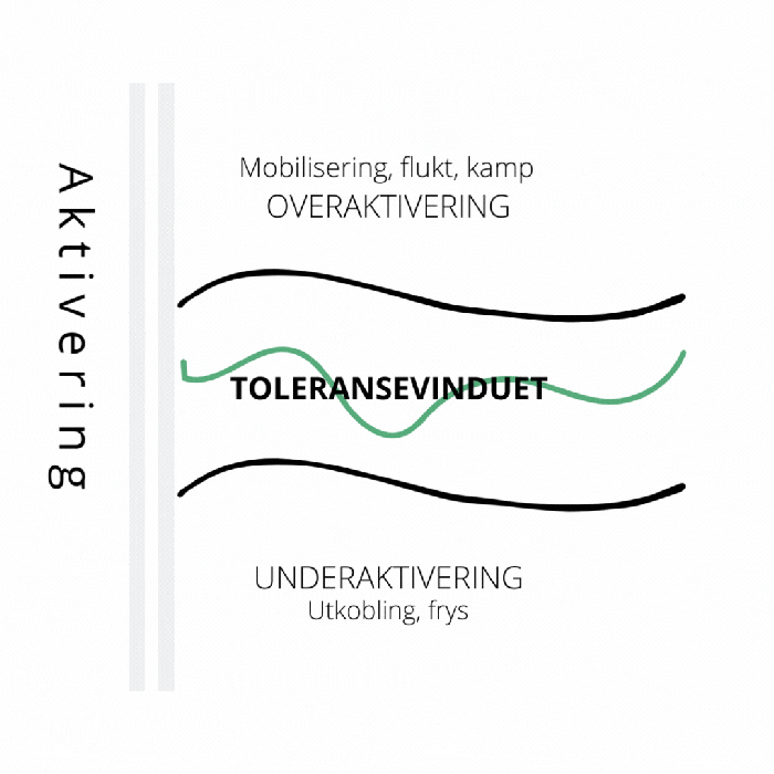 Adferd hos hest og rytter: Toleransevinduet som modell for ...
